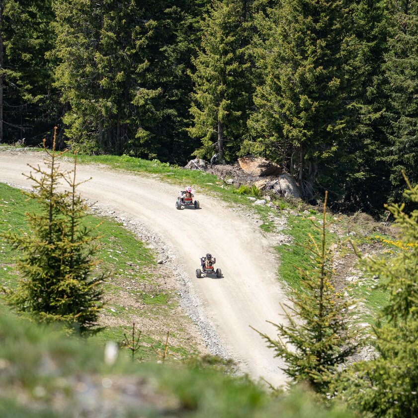 Swoosh down the mountain with Medrig Carts | See